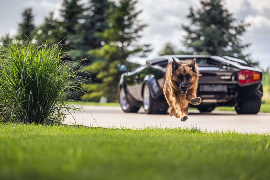 1979 Lamborghini Countach LP400S ‘Lowbody’ – Joe Sackey Classics